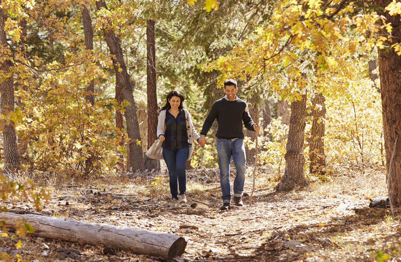 Autumn Breaks | Hoburne Holidays