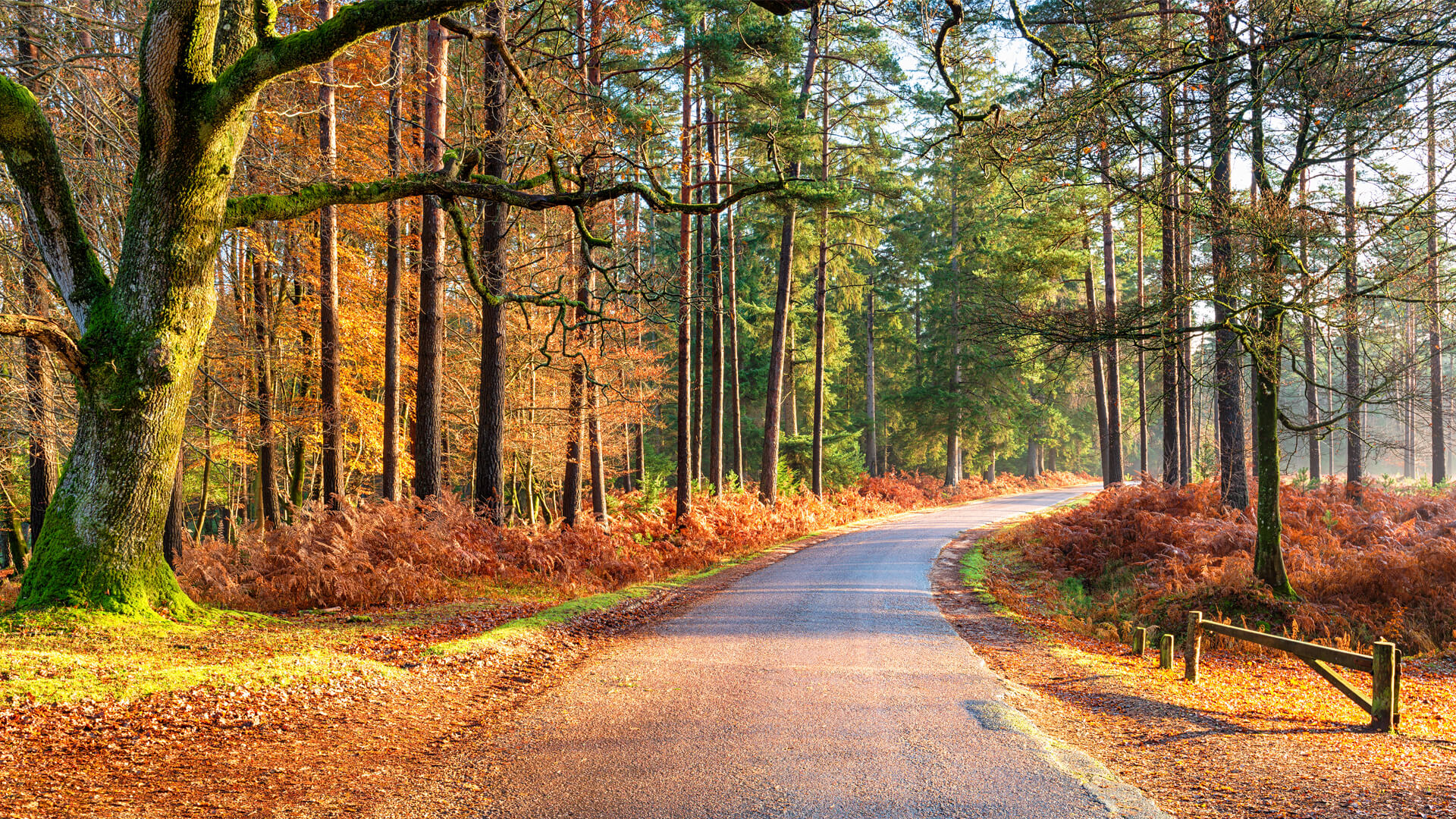 UK Holiday Park Getaways | Hoburne